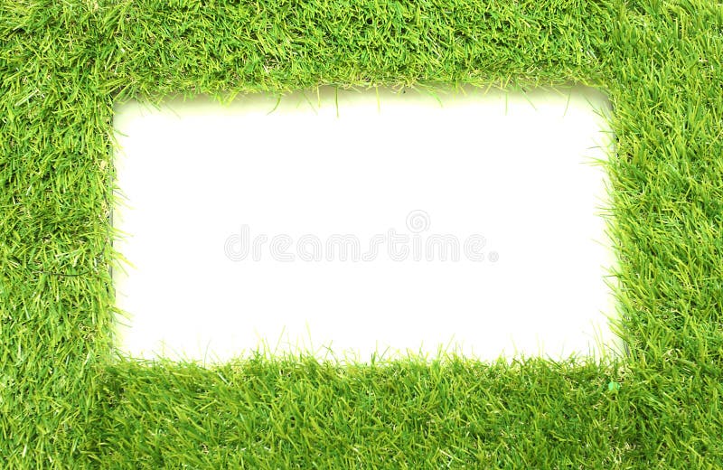 Square of Green Grass Field Stock Photo - Image of ecology, light: 45189430