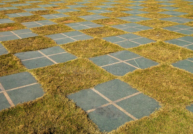 Square grid ground stock photo. Image of paving, line - 7883574