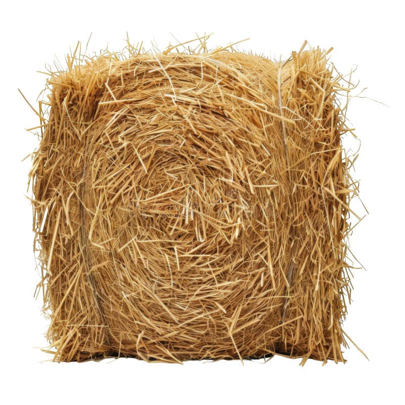 Hay Bale Stock Illustrations – 5,648 Hay Bale Stock Illustrations ...