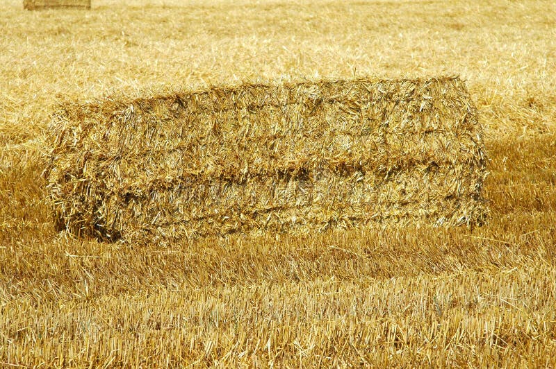 Bale Shaped Hay Texture Background Stock Photo - Image of circular ...