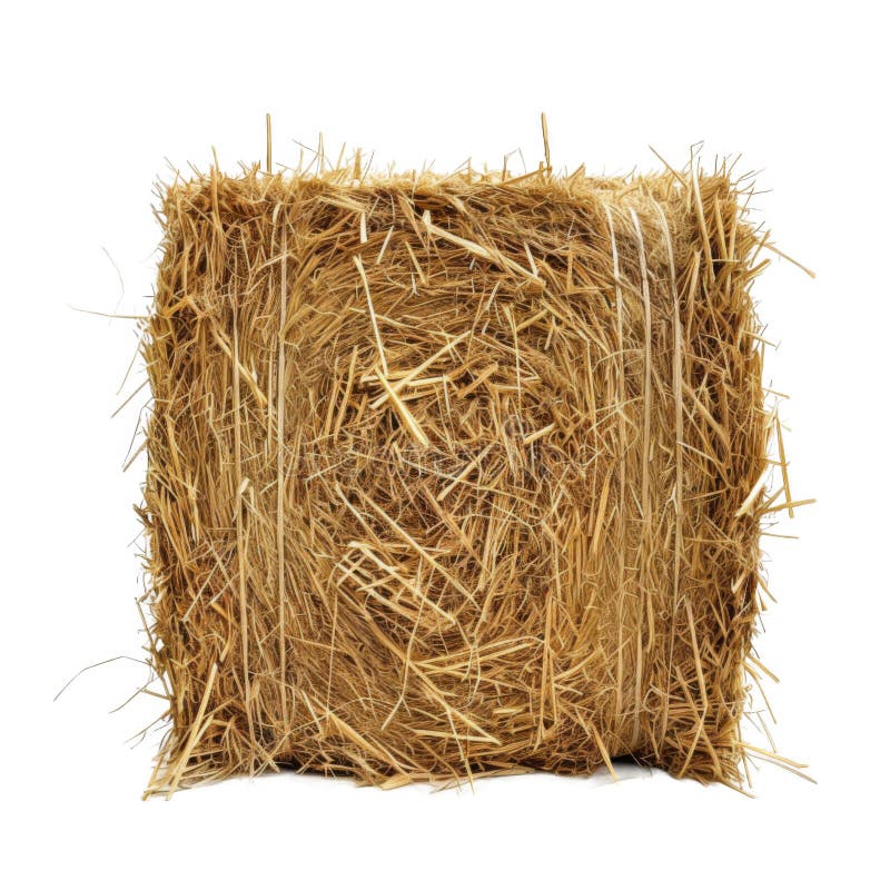 A Square Hay Bale Tied with String Stock Illustration - Illustration of ...