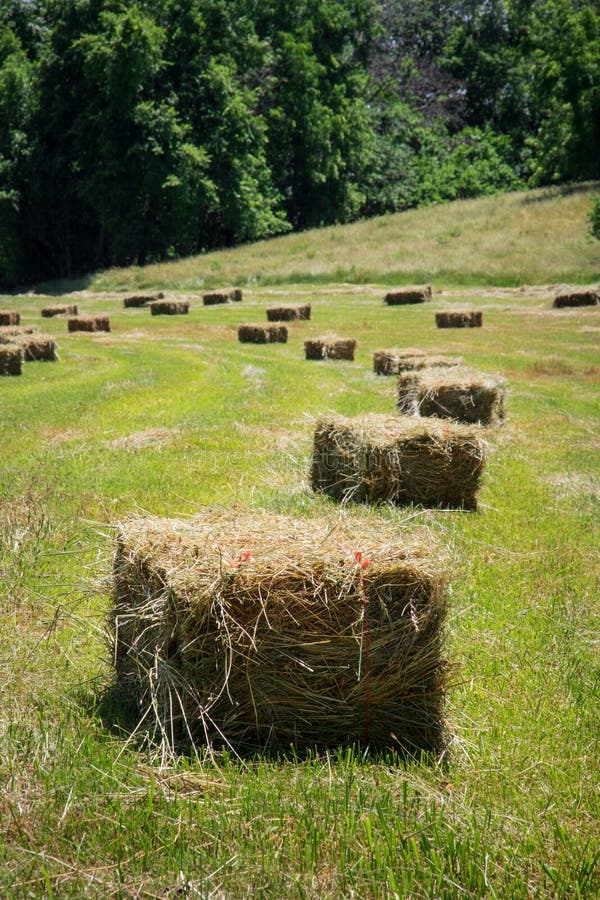 1,316 Square Hay Bales Stock Photos - Free & Royalty-Free Stock Photos ...