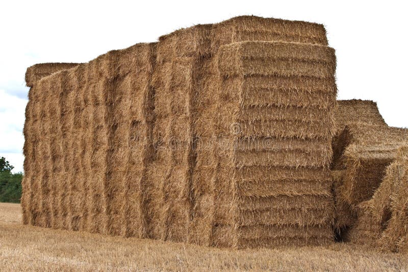 Square Hay Bales Stacked Up Stock Image - Image of feed, farming: 15695721