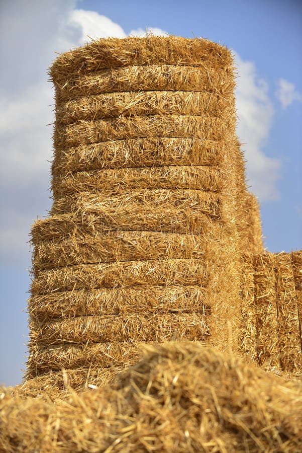 1,373 Square Hay Bales Stock Photos - Free & Royalty-Free Stock Photos ...