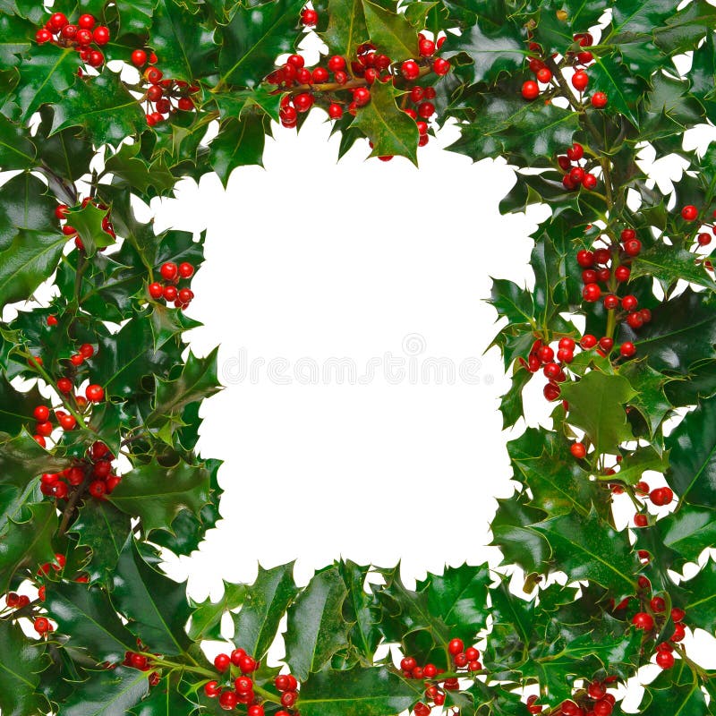 Christmas Holly frame stock vector. Illustration of holiday - 16642224
