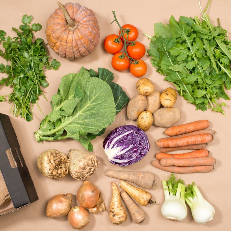 Square Image of Collection of Fresh Vegetables and a Box Stock Photo ...