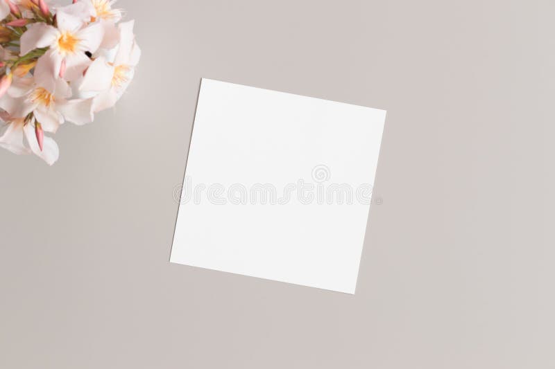 Square Invitation Card Mockup with a Lyander on the Beige Table Stock ...