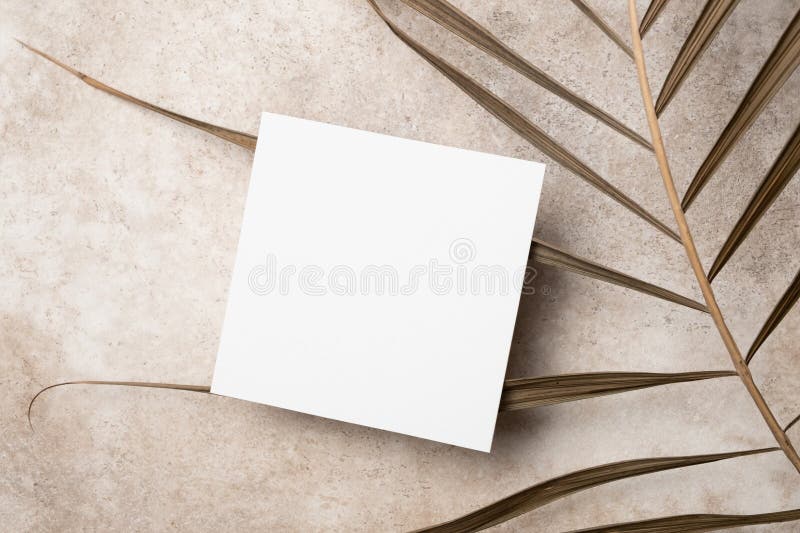 182 Wedding Invitation Mock Up Square Stock Photos - Free & Royalty ...