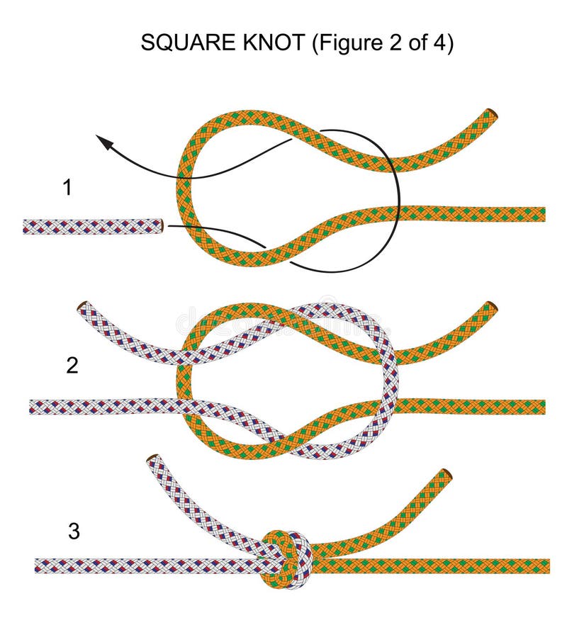 Square Knot (illustration 2 of 4) Stock Vector - Illustration of ...