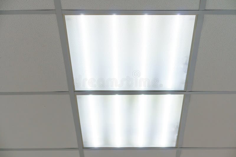 White Suspended Ceiling and Square Fluorescent Lamps in the Office ...