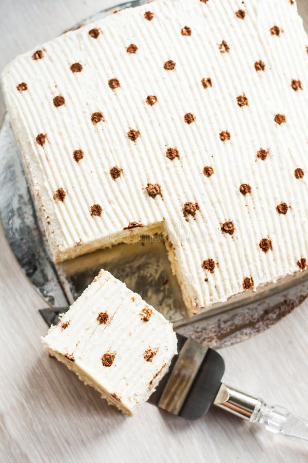 Square Loaf of Cream Cake Decorated with Cocoa, Lies on the Paddle ...