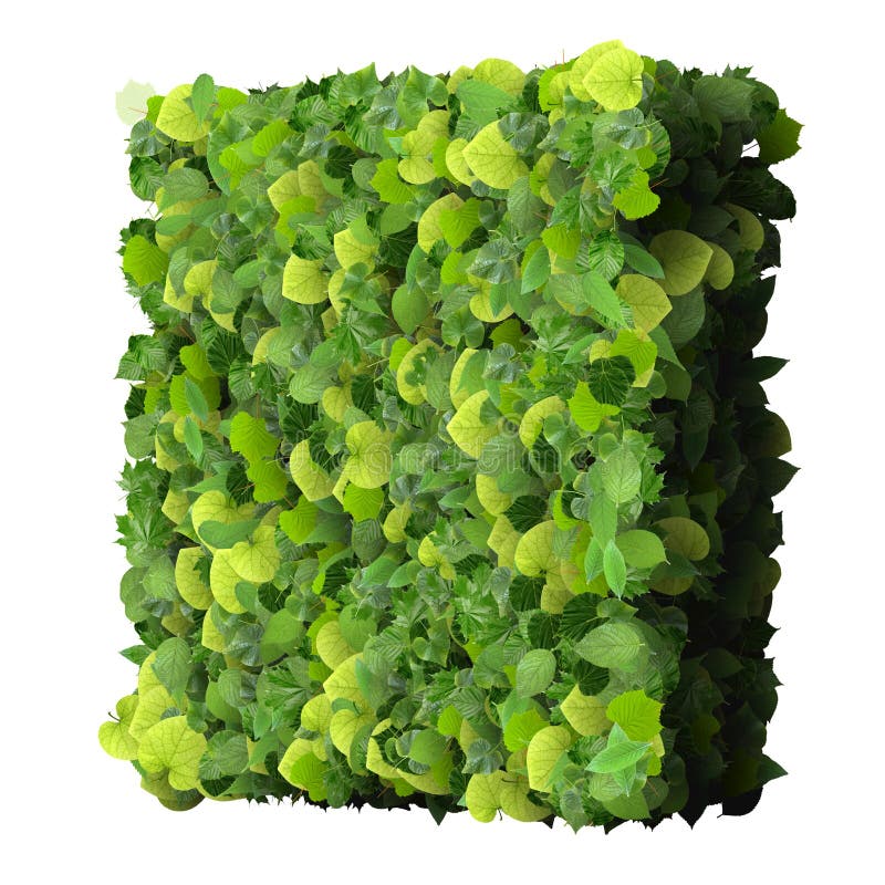 Square Made from Green Leaves Isolated on White Background. 3D Render ...