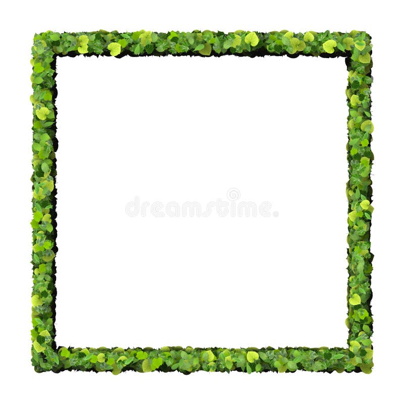 Square Made from Green Leaves Isolated on White Background. 3D Render ...