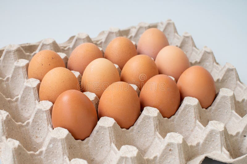 Square Pallet for Recycling Chicken Eggs with Red Chicken Eggs. Side ...