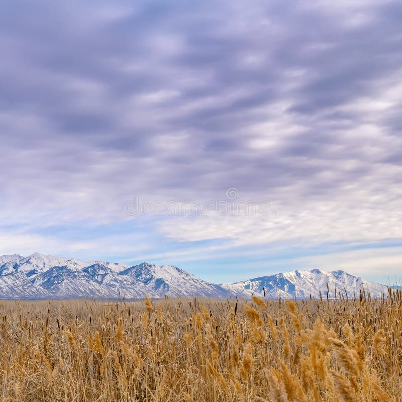 Square Panorama of a Vast Valley and Distant Snowy Mountain Under ...