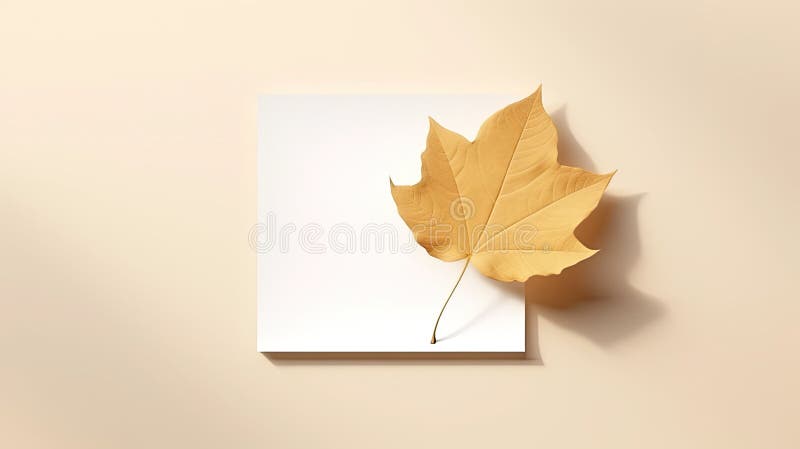 Square Paper Mockup with Realistic Shadows Overlays Leaf. Stock Image ...
