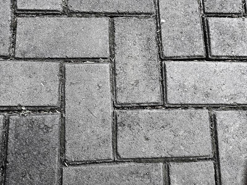 139 Square Soil Blocks Stock Photos - Free & Royalty-Free Stock Photos ...