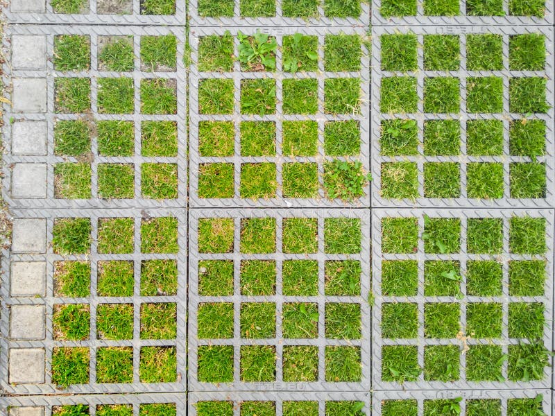 Square Paving Slabs with Holes for the Lawn Stock Image - Image of ...