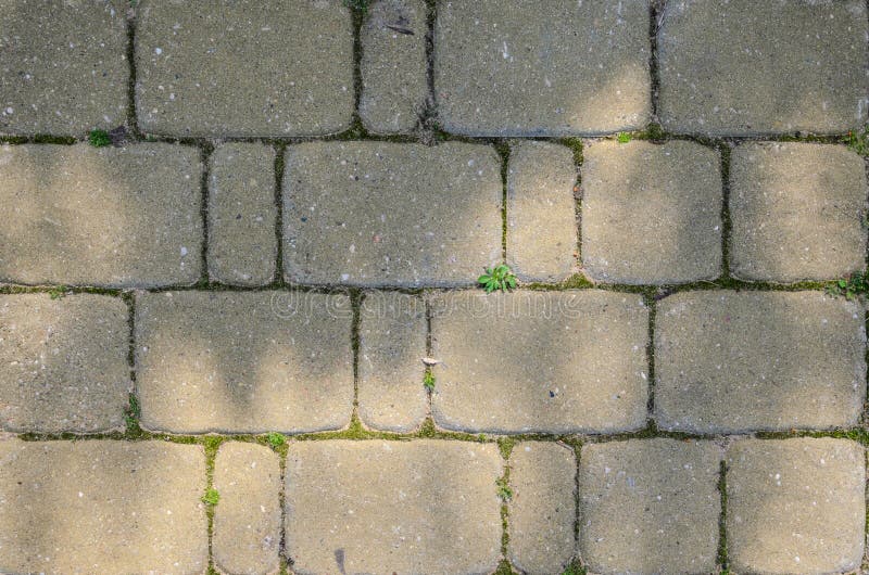 Square Paving Stone Texture. Stock Image - Image of pattern, grunge ...