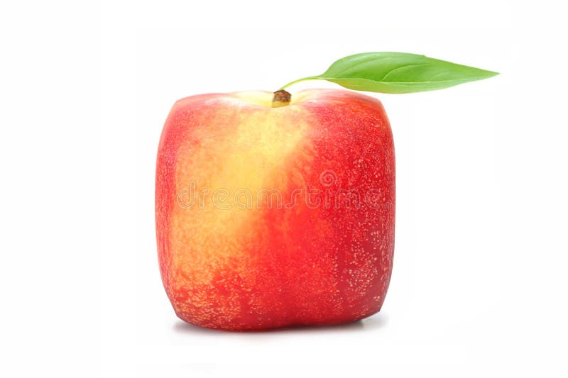 Square fruit stock photo. Image of lifestyle, breakfast - 14706444