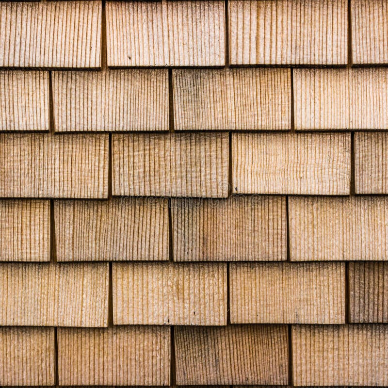 Square Chips with Bacon. Macro Photo of Chips. Sunbeam for Food Stock ...