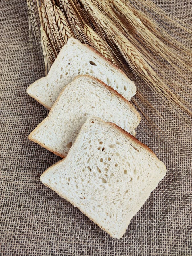 Square Pieces of White Toast Bread and Ears of Dry Wheat Stock Photo ...