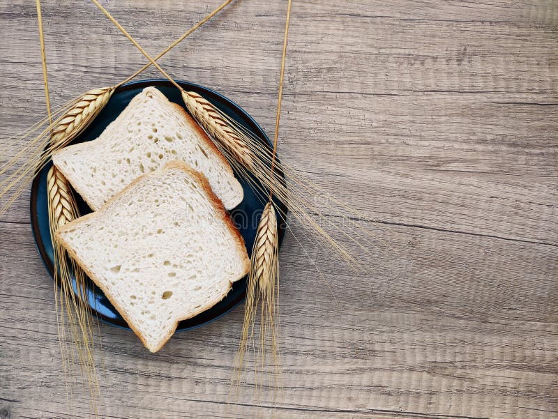 Square Pieces of White Toast Bread and Ears of Dry Wheat Stock Image ...