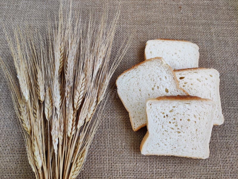 Square Pieces of White Toast Bread and Ears of Dry Wheat Stock Image ...