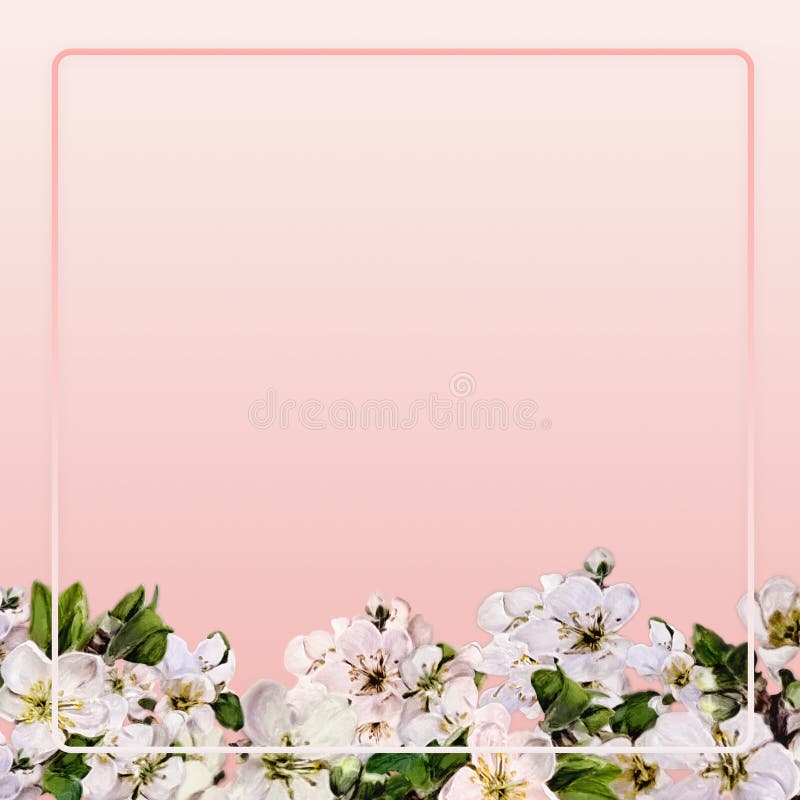 Square Pink Banner with Apple Tree Flowers and a Delicate Frame Stock ...