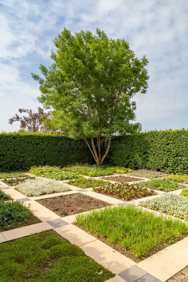 Square plant box design stock photo. Image of inspiration - 184847414