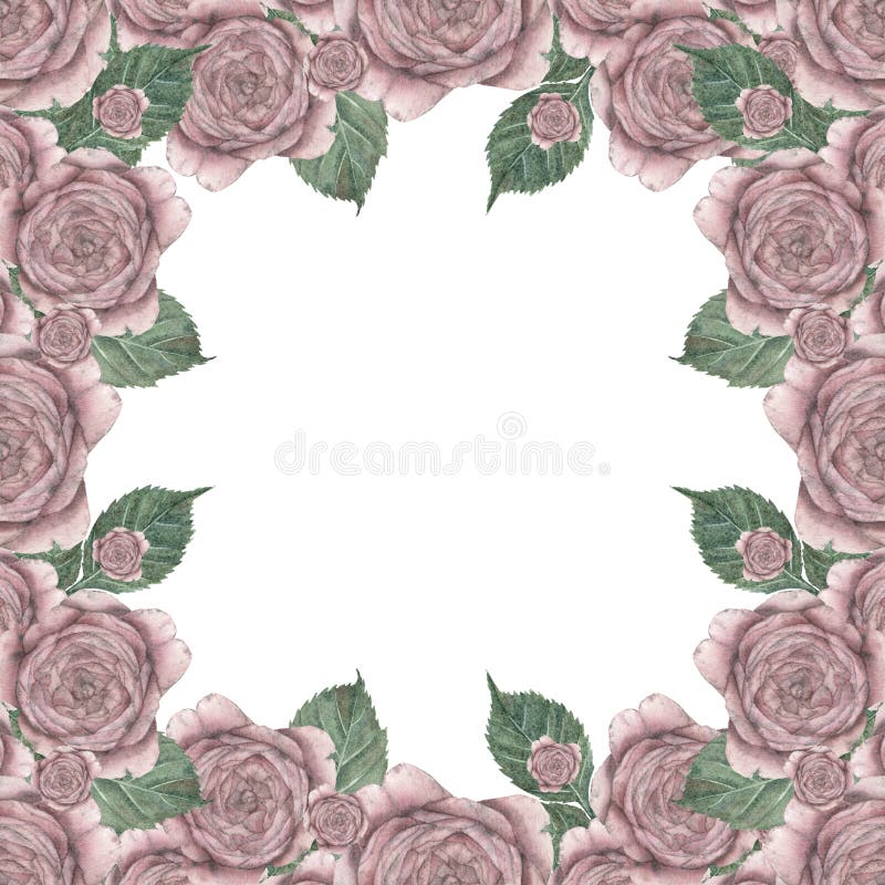 Square Postcard, Frame with a Seamless Pattern of Pink Roses of ...