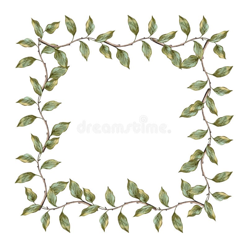 Square, Rectangular Frame of Branches and Green Leaves Stock ...