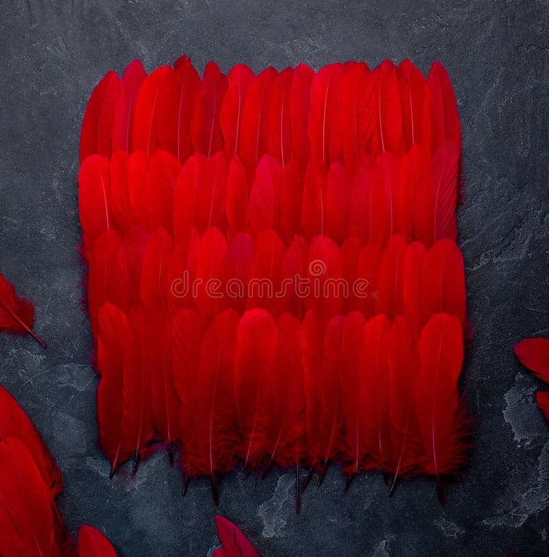 Square from Red Feathers on Rough Gray Surface Stock Image - Image of ...