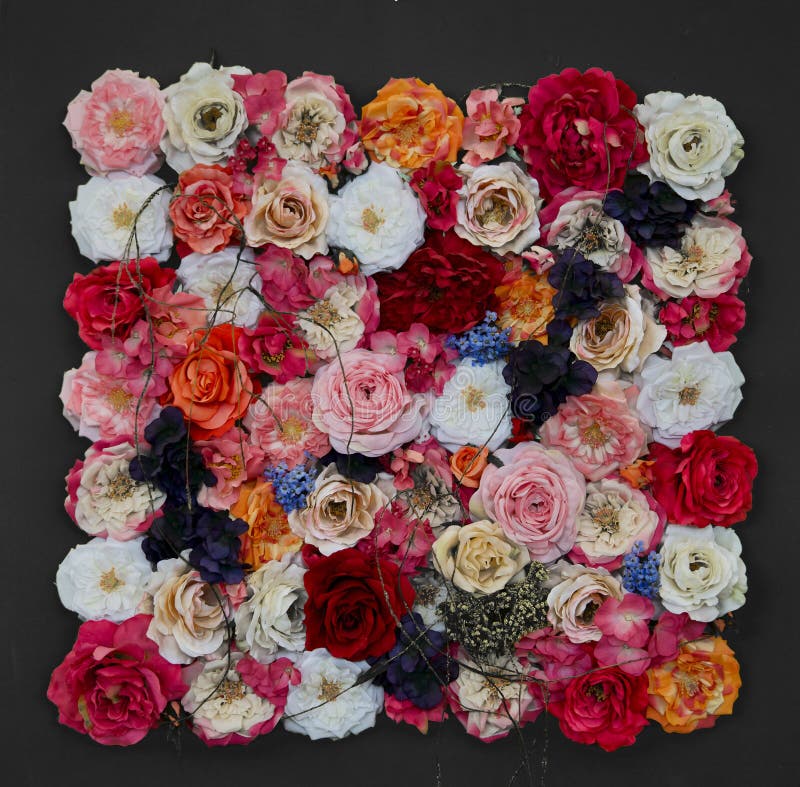 Square of roses stock image. Image of gift, beautiful - 200559021