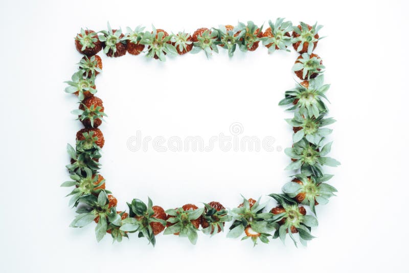 Square Shape Frame from Strawberries Stock Image - Image of strawberry ...