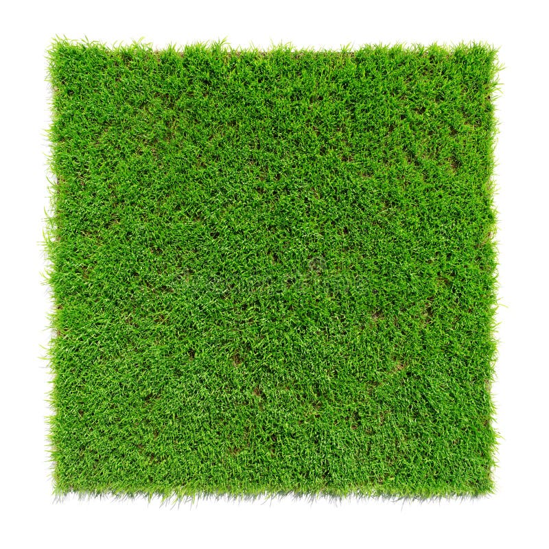 430+ Square green grass Free Stock Photos - StockFreeImages