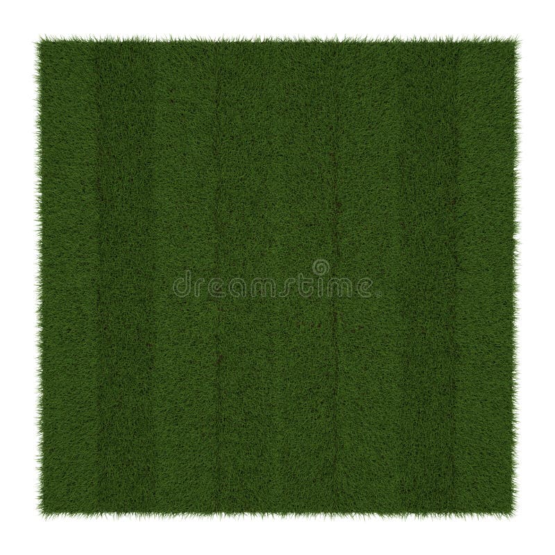 Square Shaped Green Grass Lawn, 3D Illustration Stock Image - Image of ...
