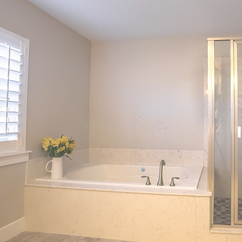 Shower Stall and Bathtub Inside a Bathroom with Window Stock Image ...