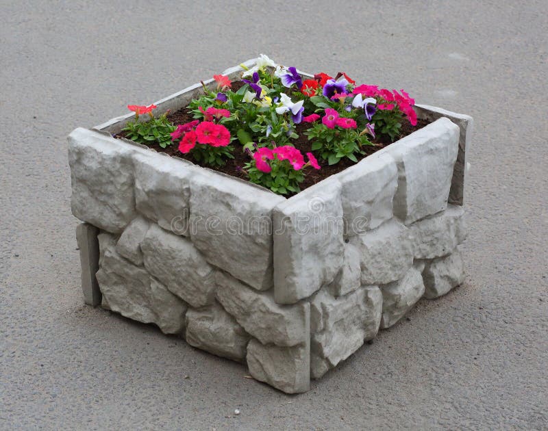 The square flowerbed stock photo. Image of flowers, square - 121864970