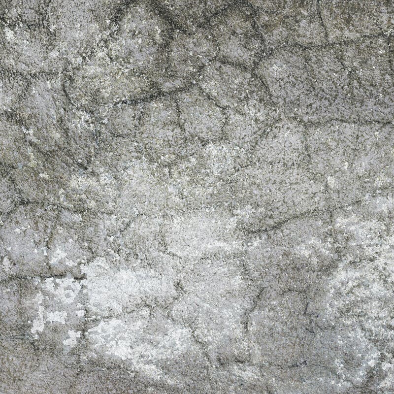 Square Structure of Rough Plaster Stock Photo - Image of material ...