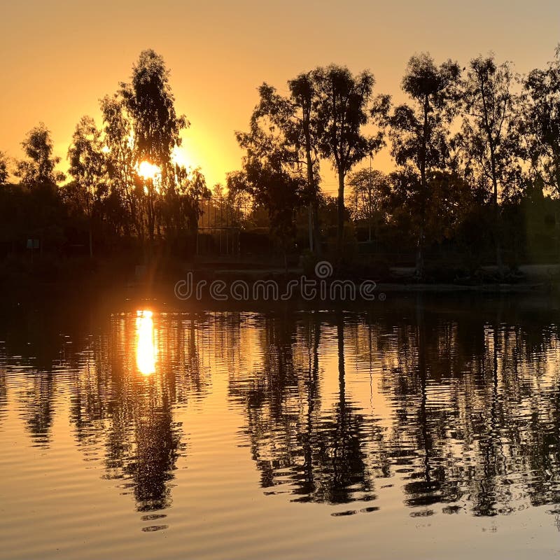 Square-shaped Sunrise by the Lake Stock Image - Image of plant, nature ...