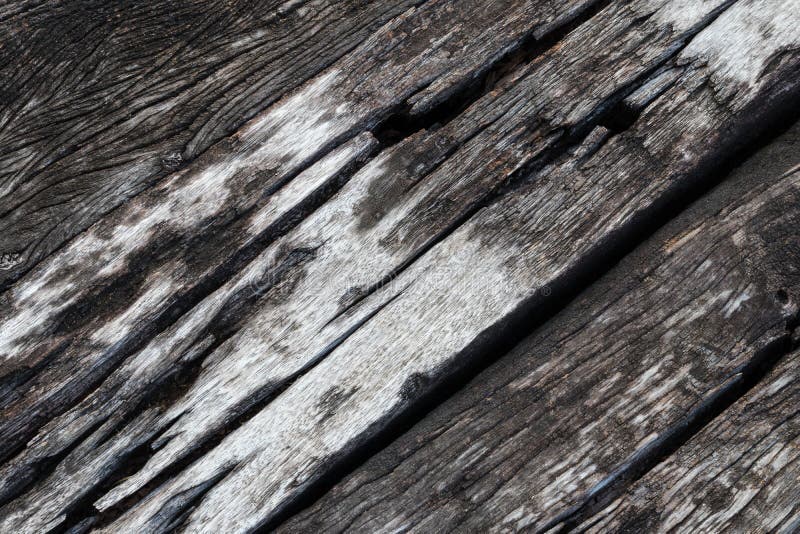 Square Surface of Decayed Wood. Stock Photo - Image of exterior ...