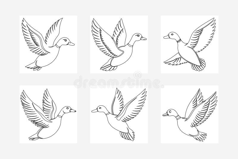 Flying Duck Line Art Vector Illustration - Minimalist Wildlife Drawing ...