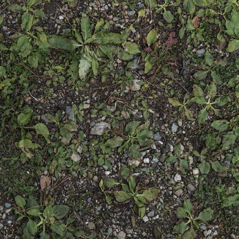 Square Texture of Forest Ground Stock Image - Image of texture, ground ...