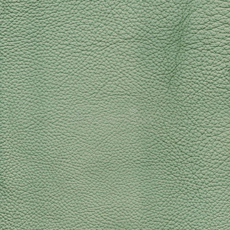 Mint Detailed Background Texture of Leather Stock Illustration ...