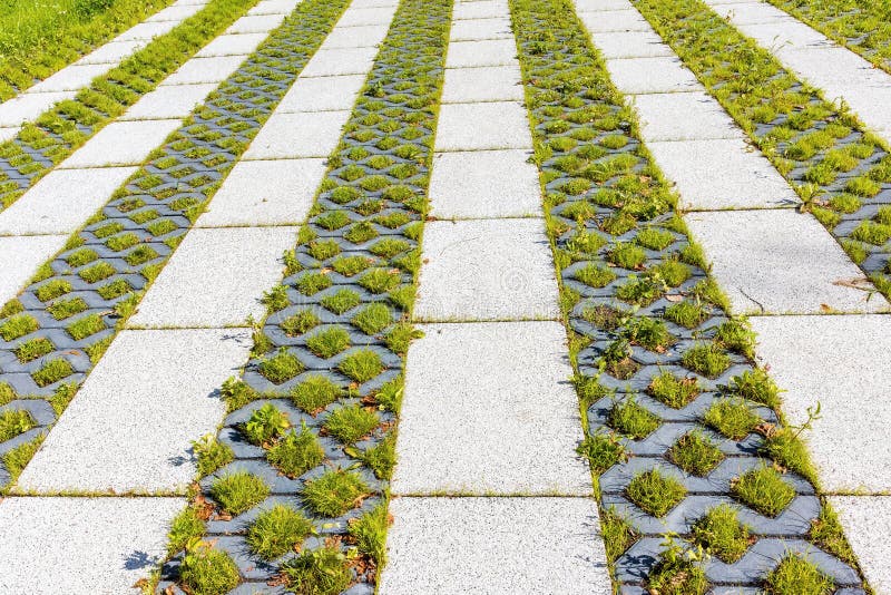Square Tile Geometric Pavement Pattern with Green Lawn Stock Photo ...