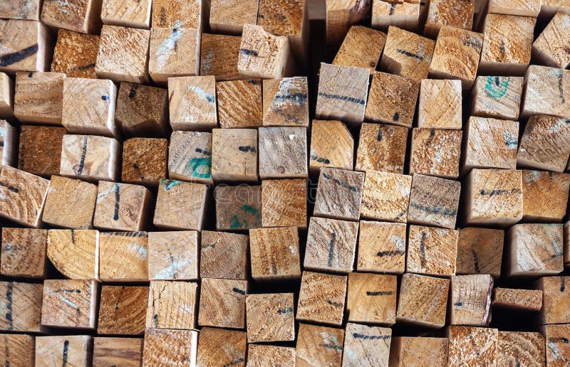 Square timber stock image. Image of wood, square, environment - 193745205