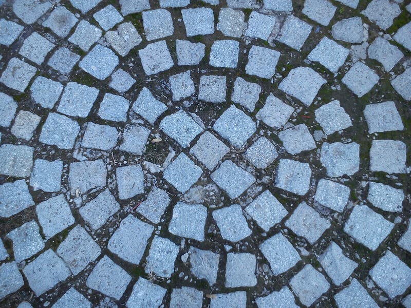 Square Treated Stones are Laid Out Around. Fragment of the Cobblestone ...
