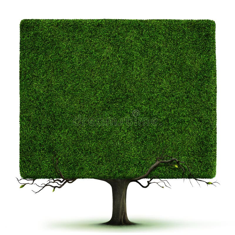 Old Wooden Ladder stock image. Image of rusty, broken - 16492417