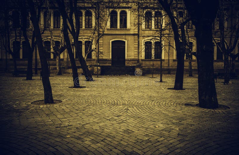 Square with trees stock image. Image of morelia, garden - 141150397